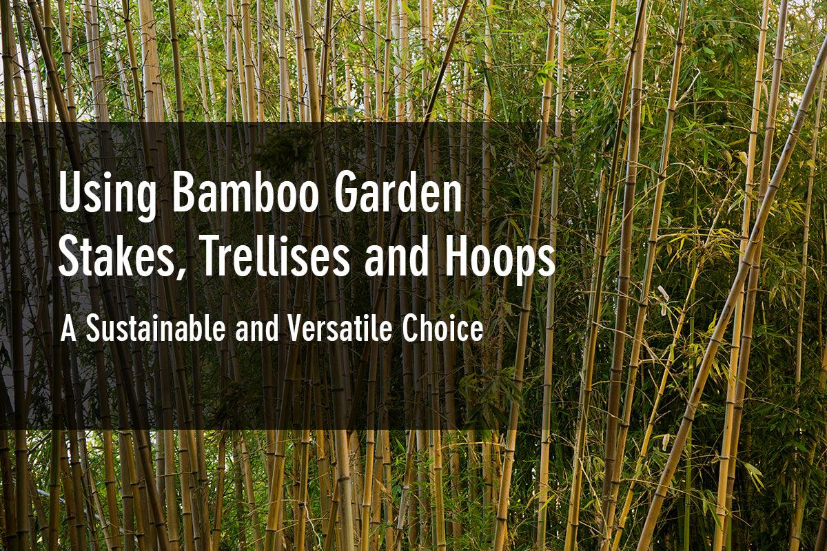 Using Bamboo Garden Stakes, Trellises and Hoops: A Sustainable and ...