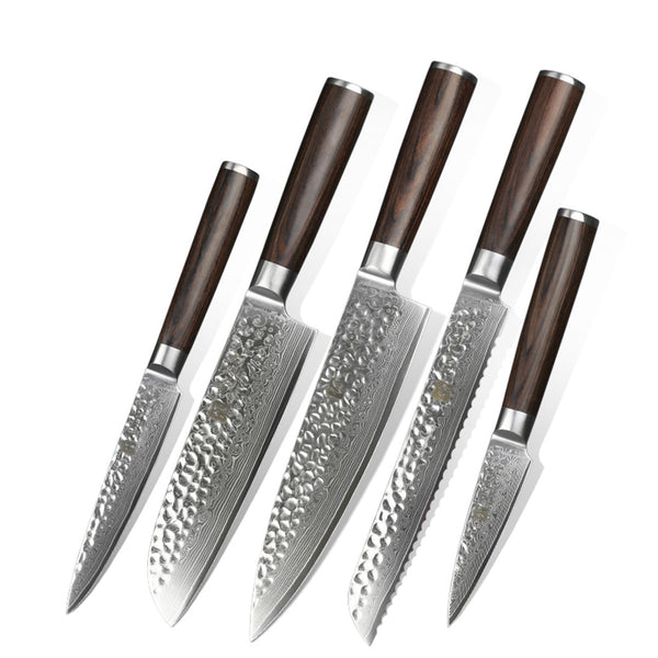 Xinzuo B1H 5 Pcs 67 Layer Damascus Steel Chef Knife Set with Pakka Woo ...