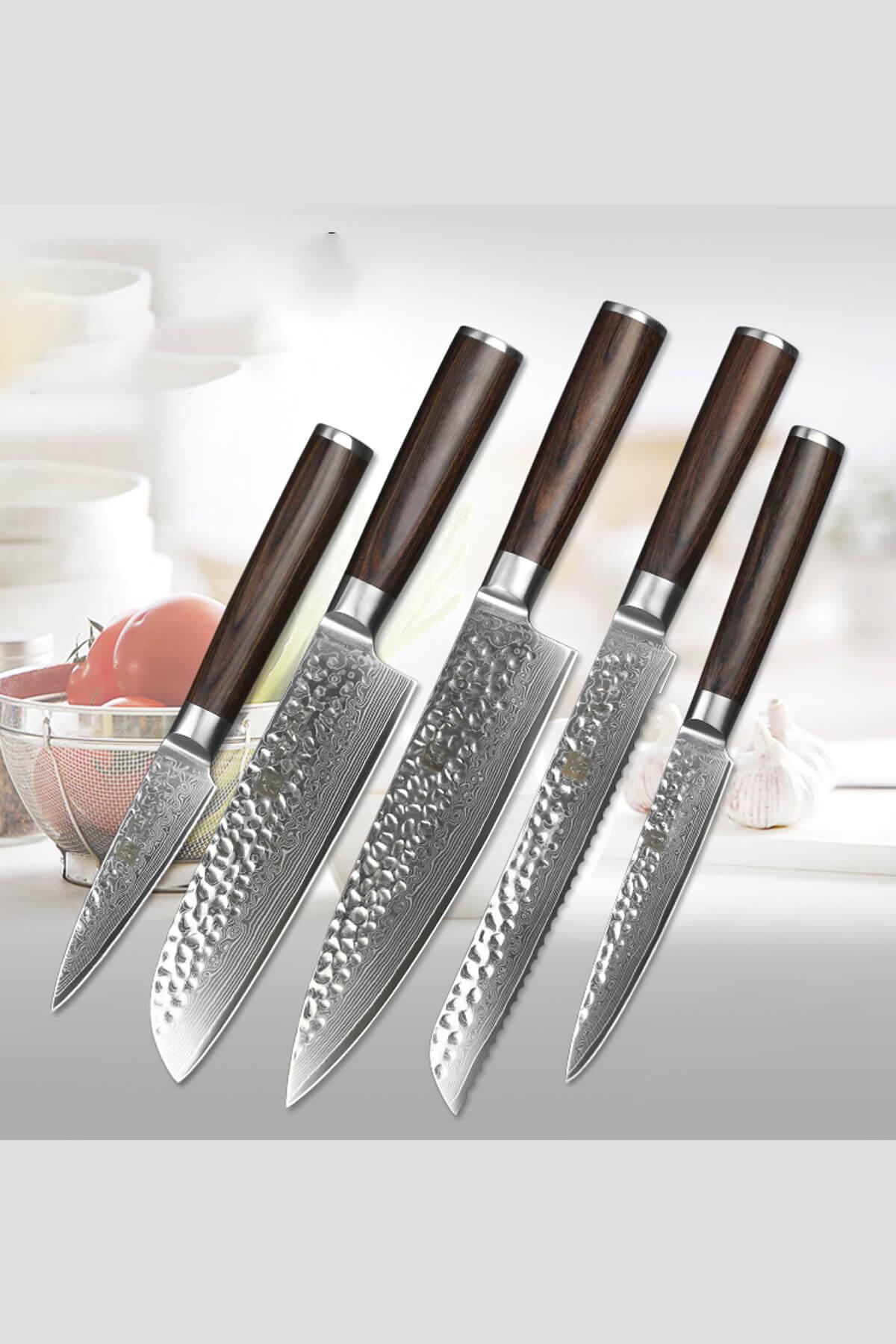 Xinzuo B1H 5 Pcs 67 Layer Damascus Steel Chef Knife Set with Pakka Woo ...