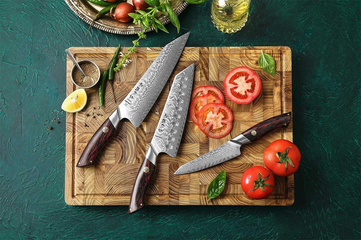 HEZHEN B38H 3 Pcs 67 Layer Damascus Chef Knife Set with White G10 ...